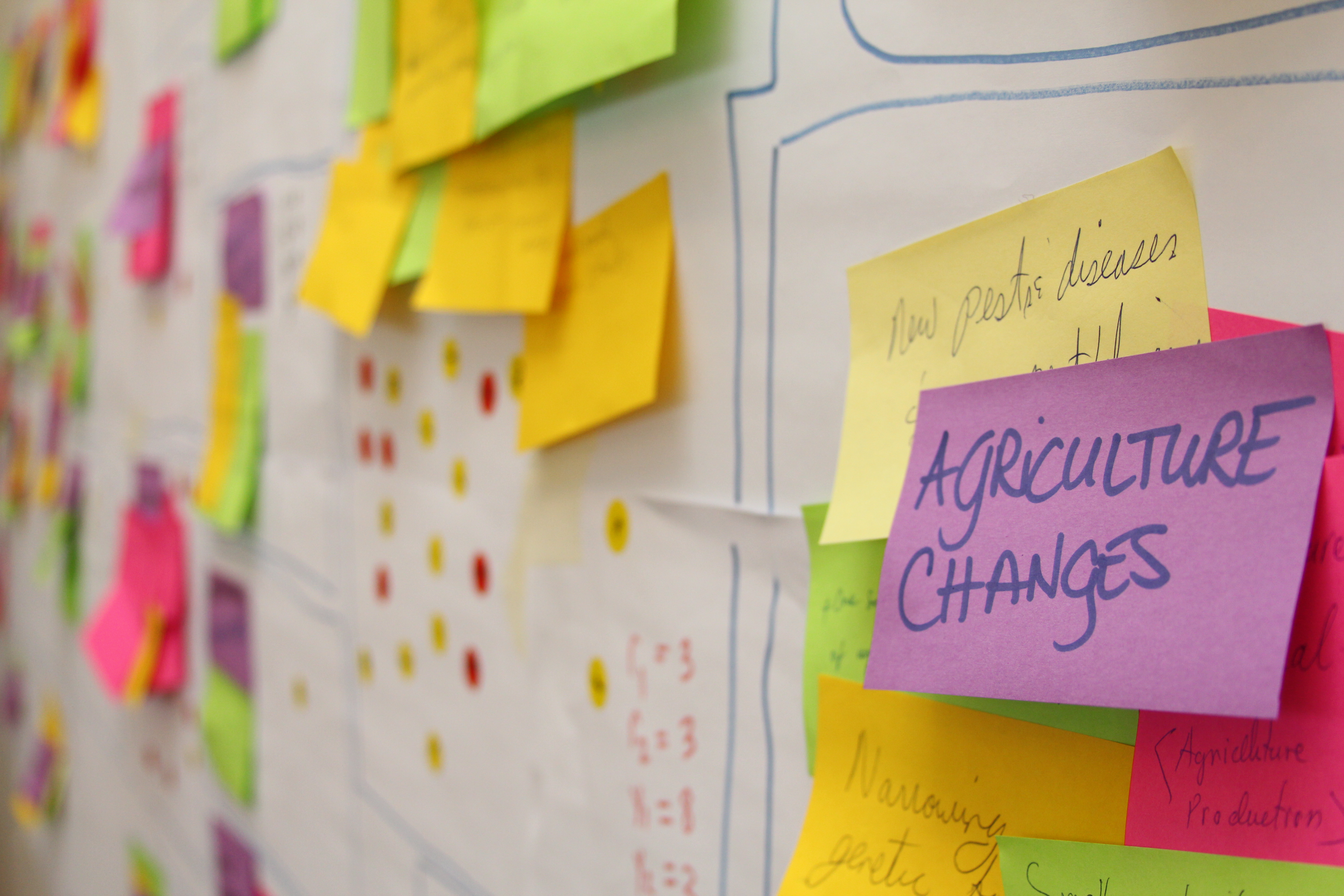 Integrating Qualitative and Quantitative Methods for Impact Assessment ...