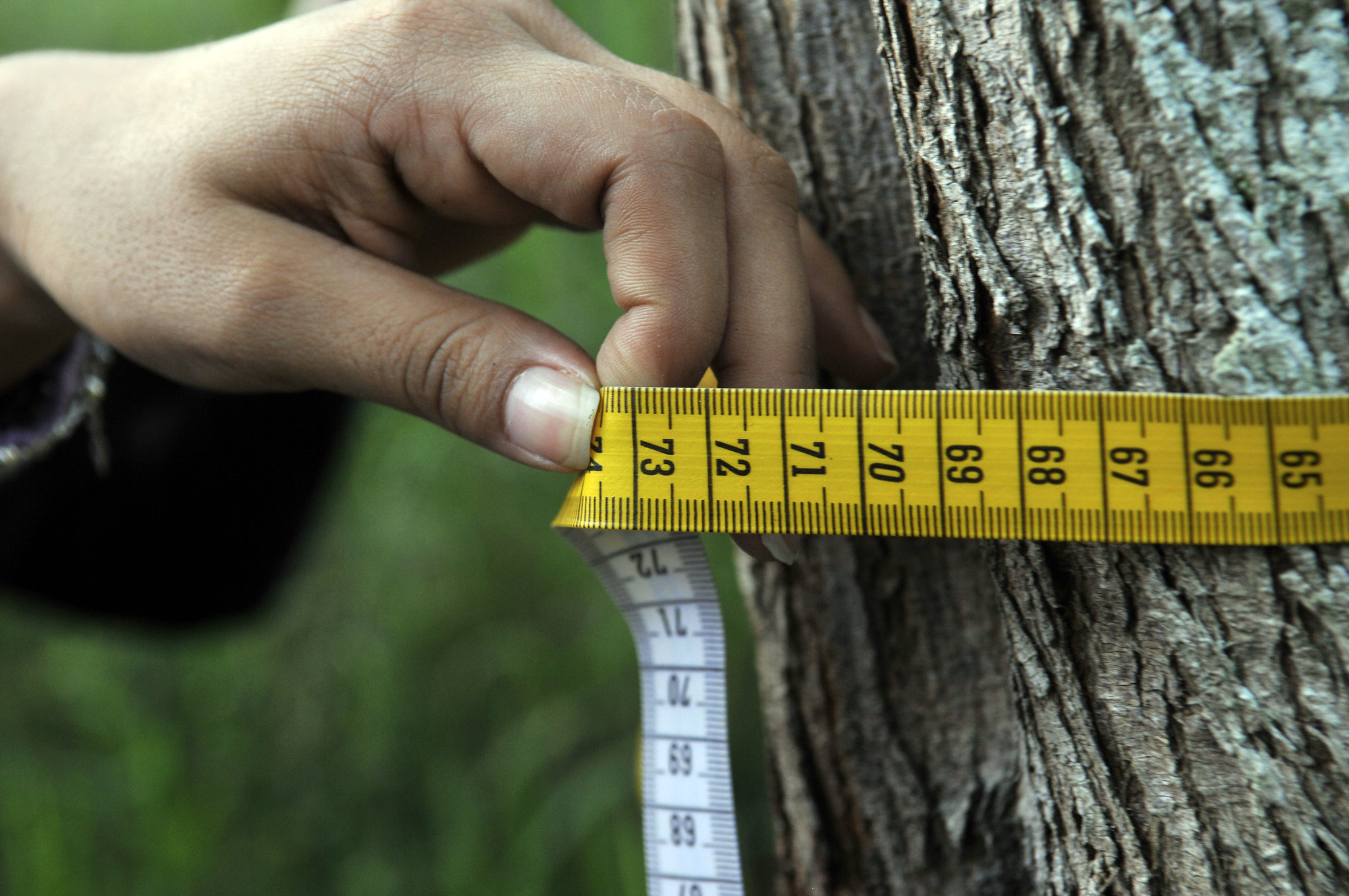 “Gold Standard” Measurement Approaches: Yes, but Even Gold Comes in ...