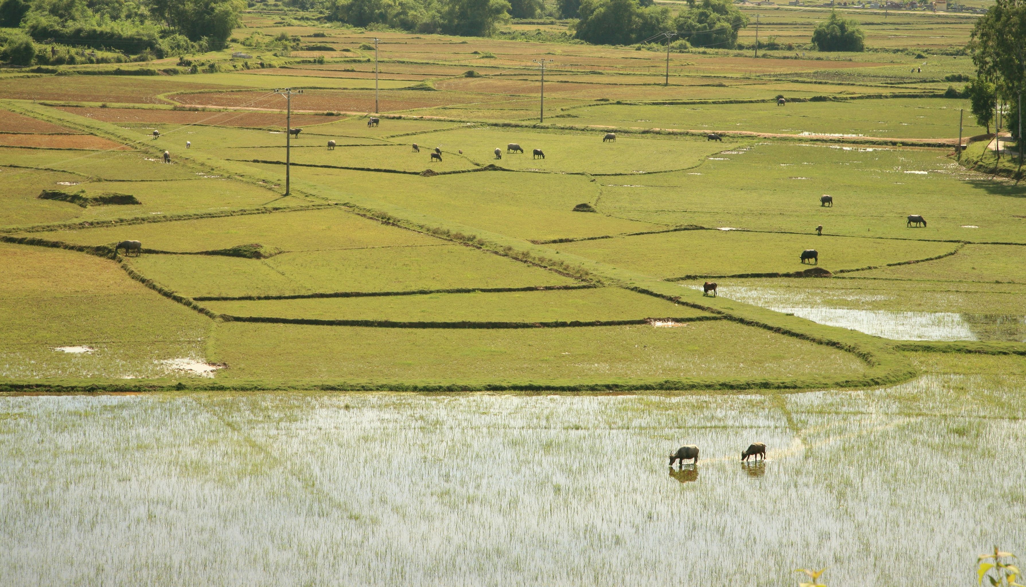 Vacancy: SPIA Remote Sensing Research Specialist | IAES | CGIAR ...