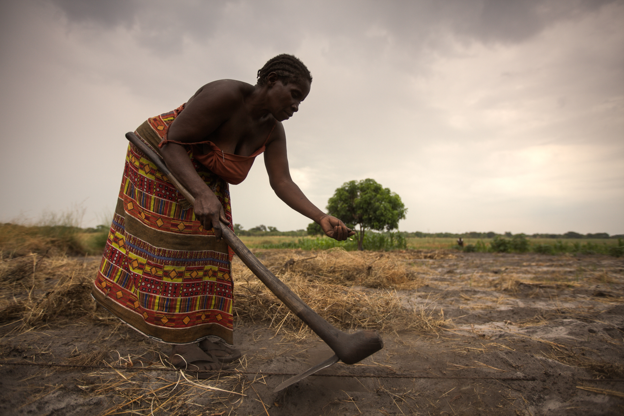 SPIA Activities Update | IAES | CGIAR Independent Advisory and ...