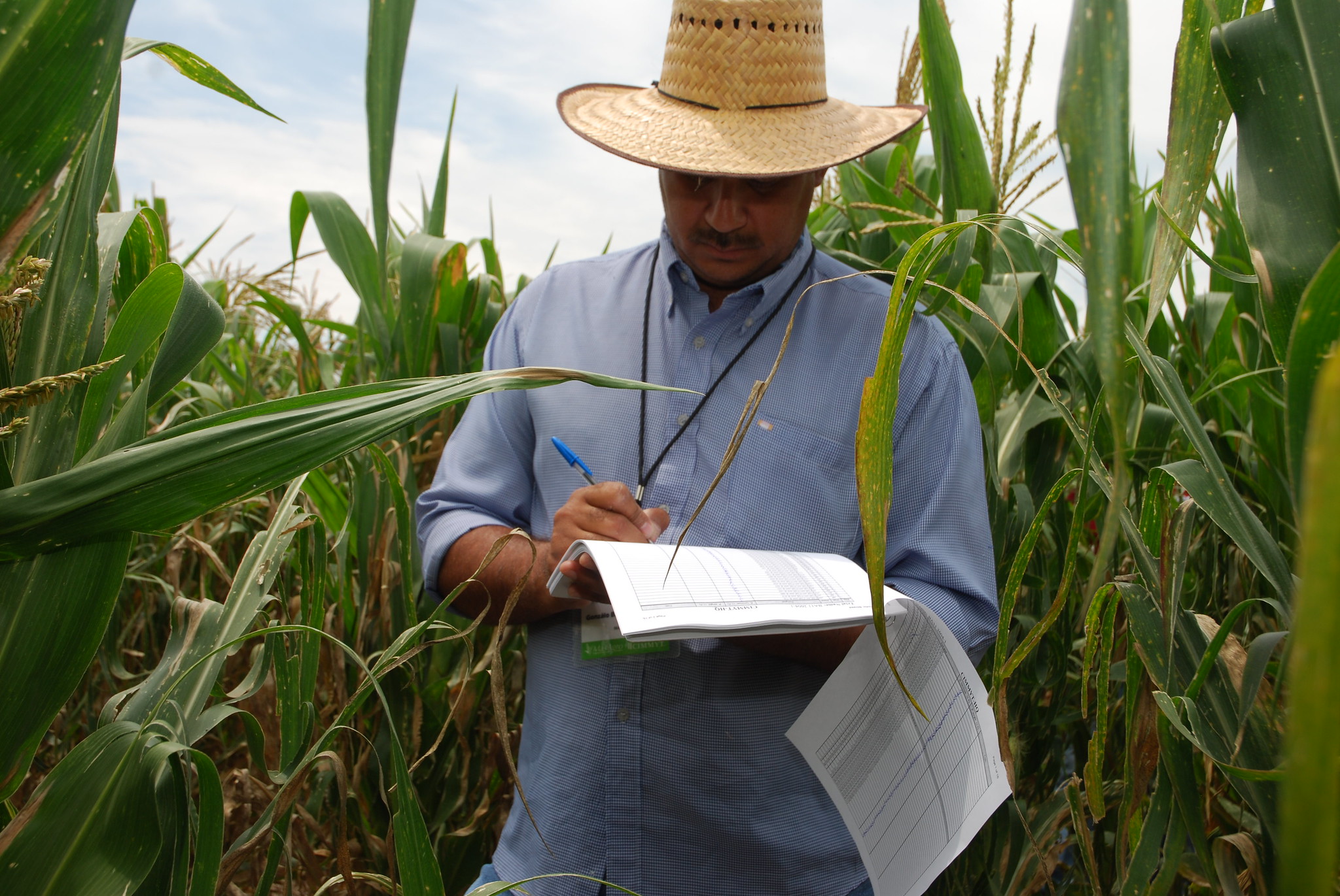 Emerging Rigorous Evidence of the Reach and Impacts of CGIAR research ...