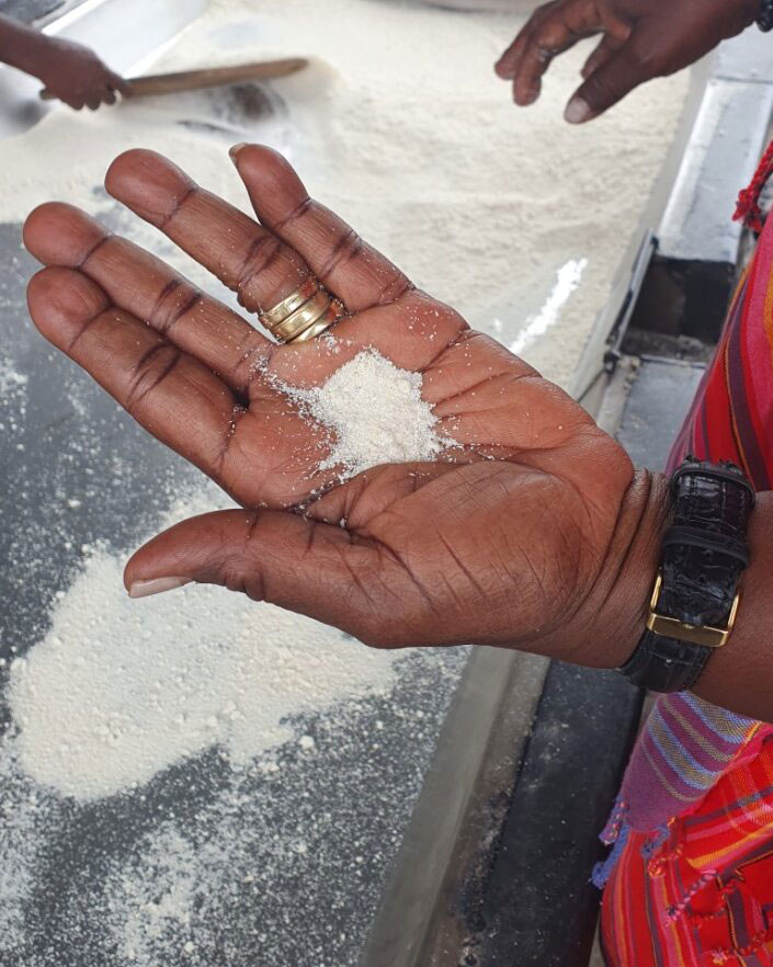 Cgiar Genebank Platform Evaluation Iaes Cgiar Independent Advisory And Evaluation Services