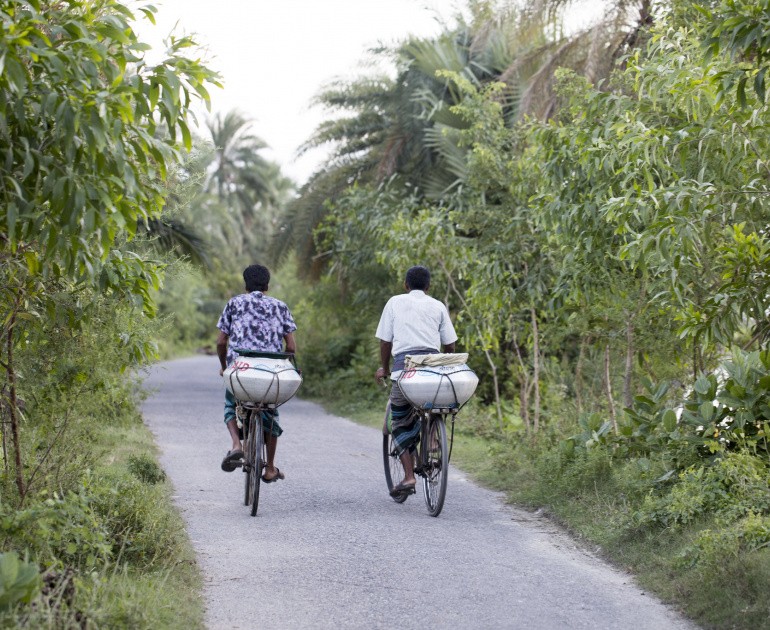 SPIA | IAES | CGIAR Independent Advisory and Evaluation Services