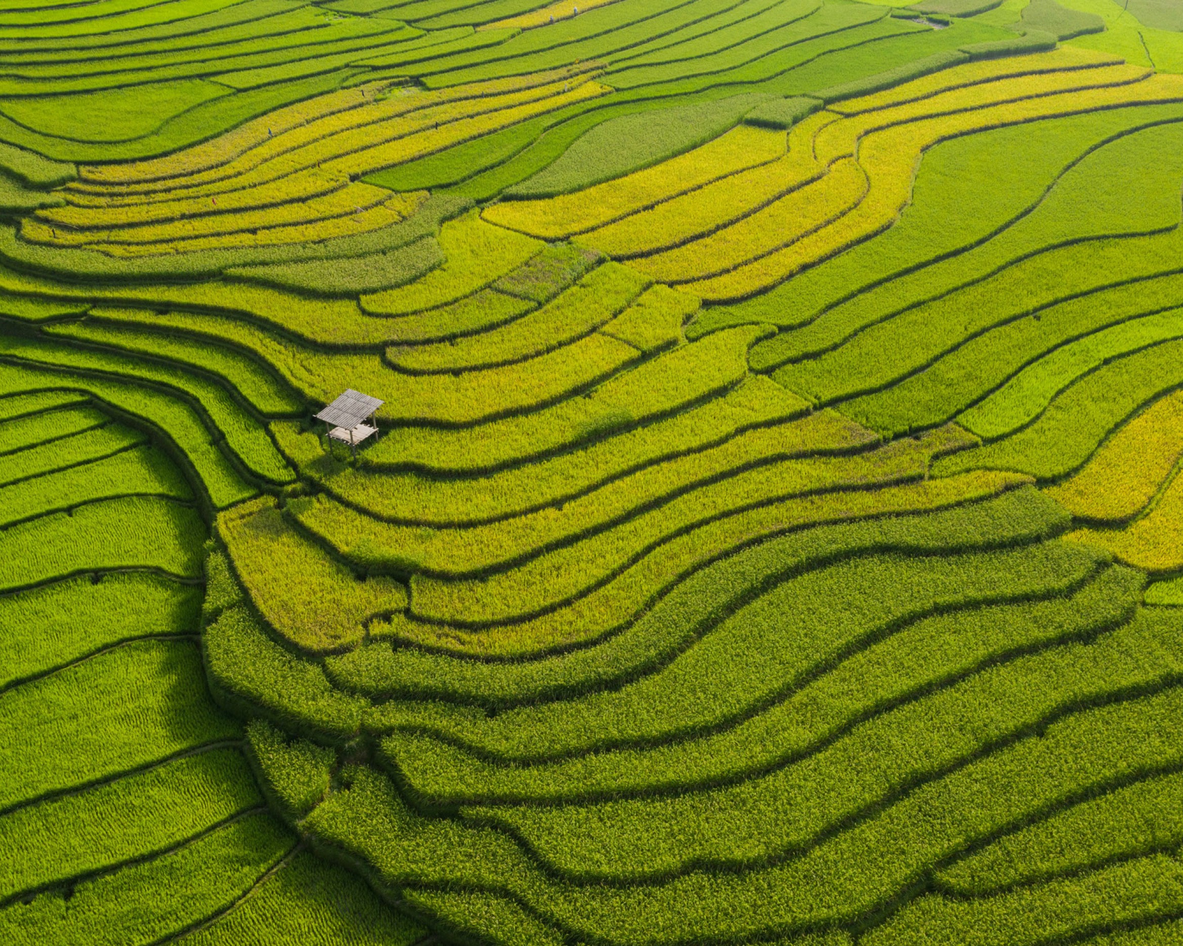 Iaes Cgiar Independent Advisory And Evaluation Services